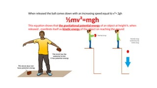 work done by a constant and variable force, potential energy.pptx