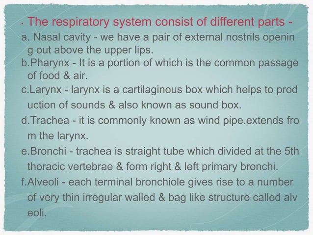 Respiratory System | PPT