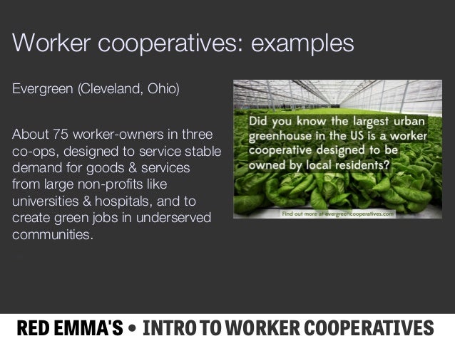 Worker Cooperative Intro
