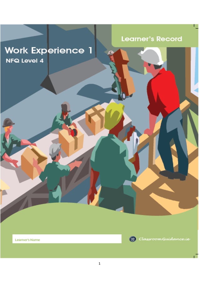 Work Experience 1 Learner's Record | PDF