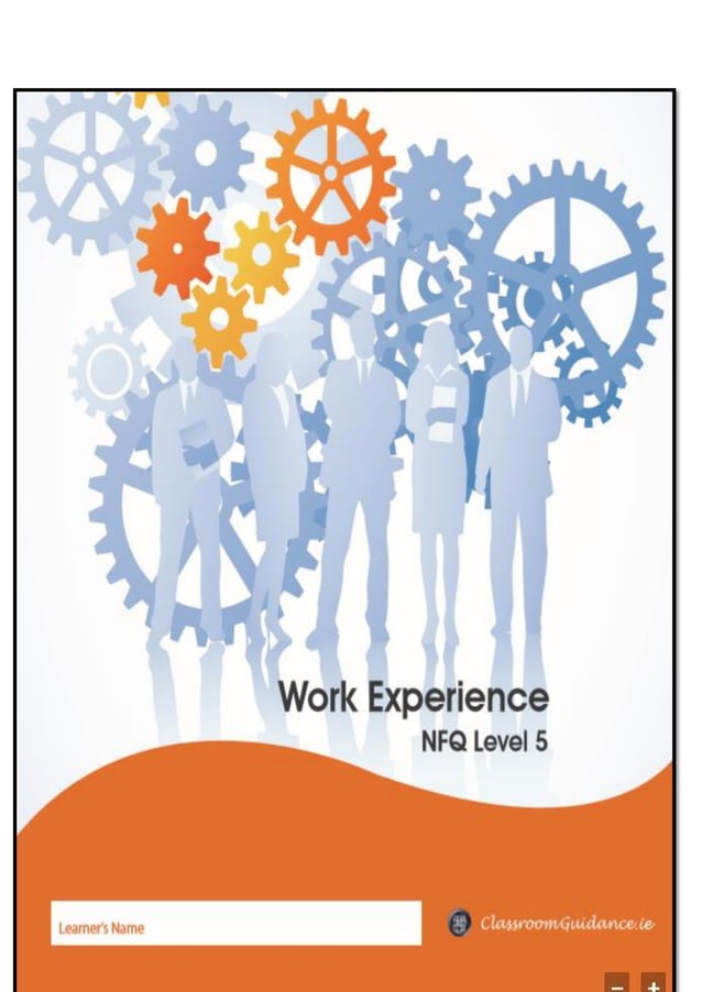 Work Experience Level 5 Learner's Record | PDF