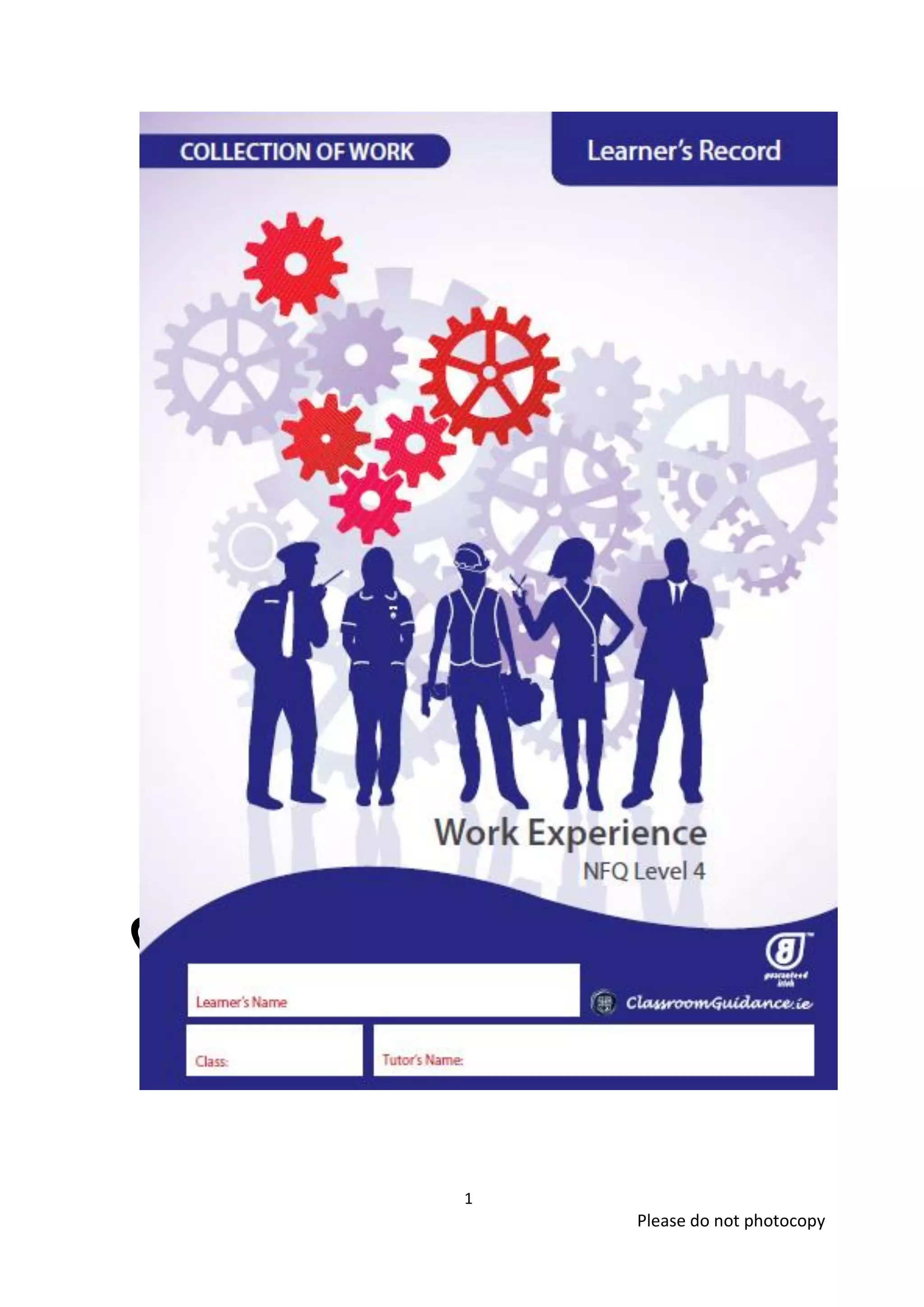 Work Experience Level 4 Learner's Record | PDF