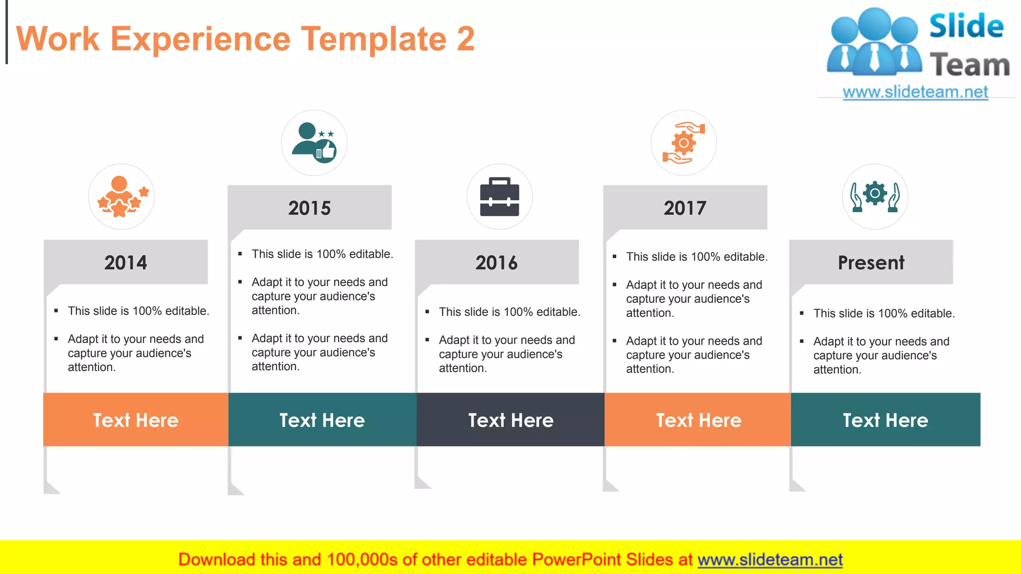 Work Experience PowerPoint Presentation Slides | PDF
