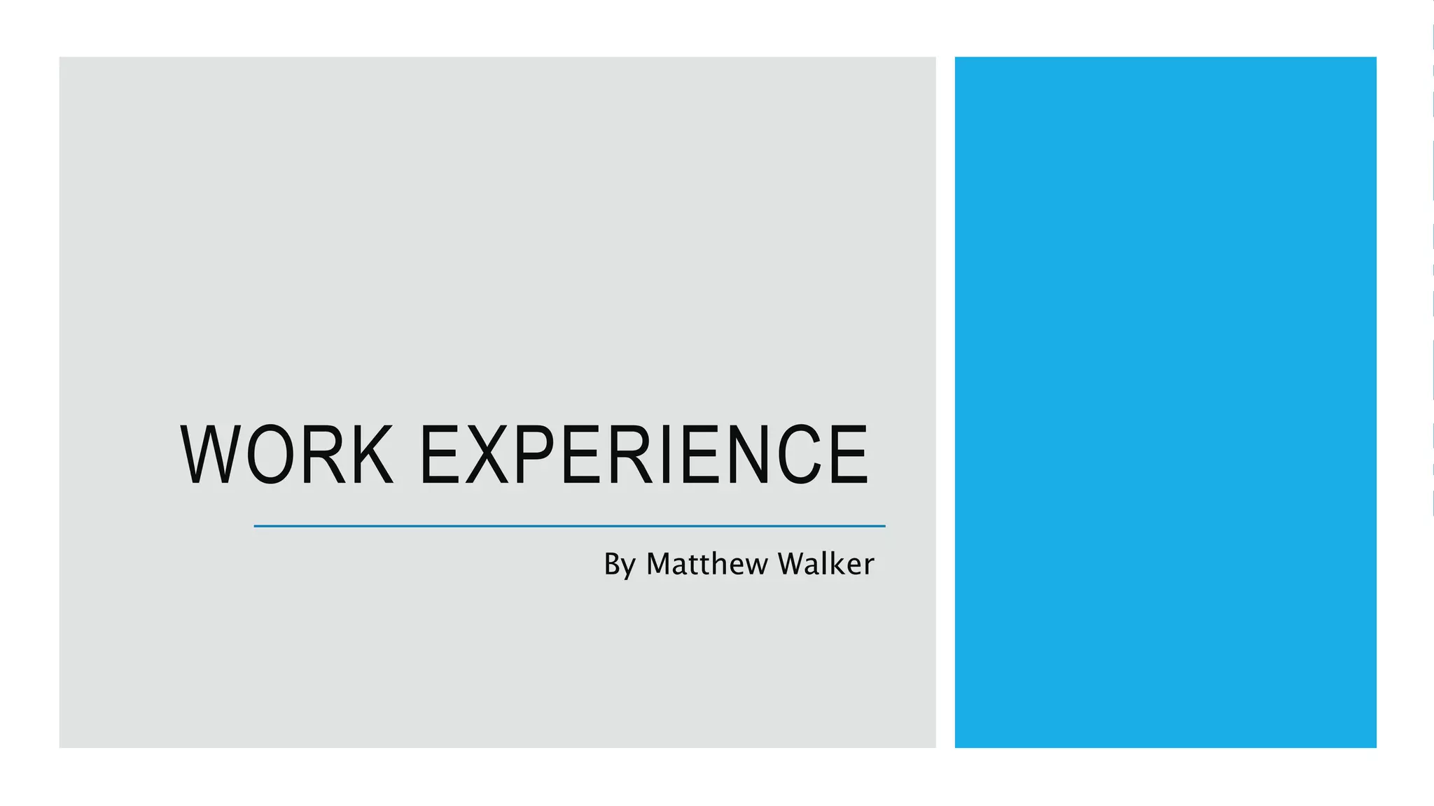 Work experience presentation | PPT