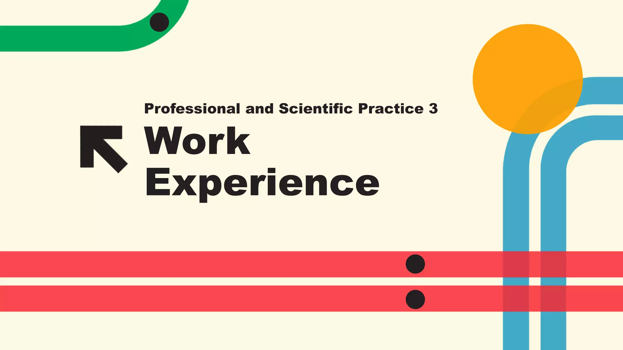 Work Experience Presentation.pptx