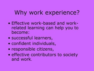 Work experience presentation 2010 | PPT