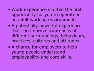 Work experience presentation 2010 | PPT