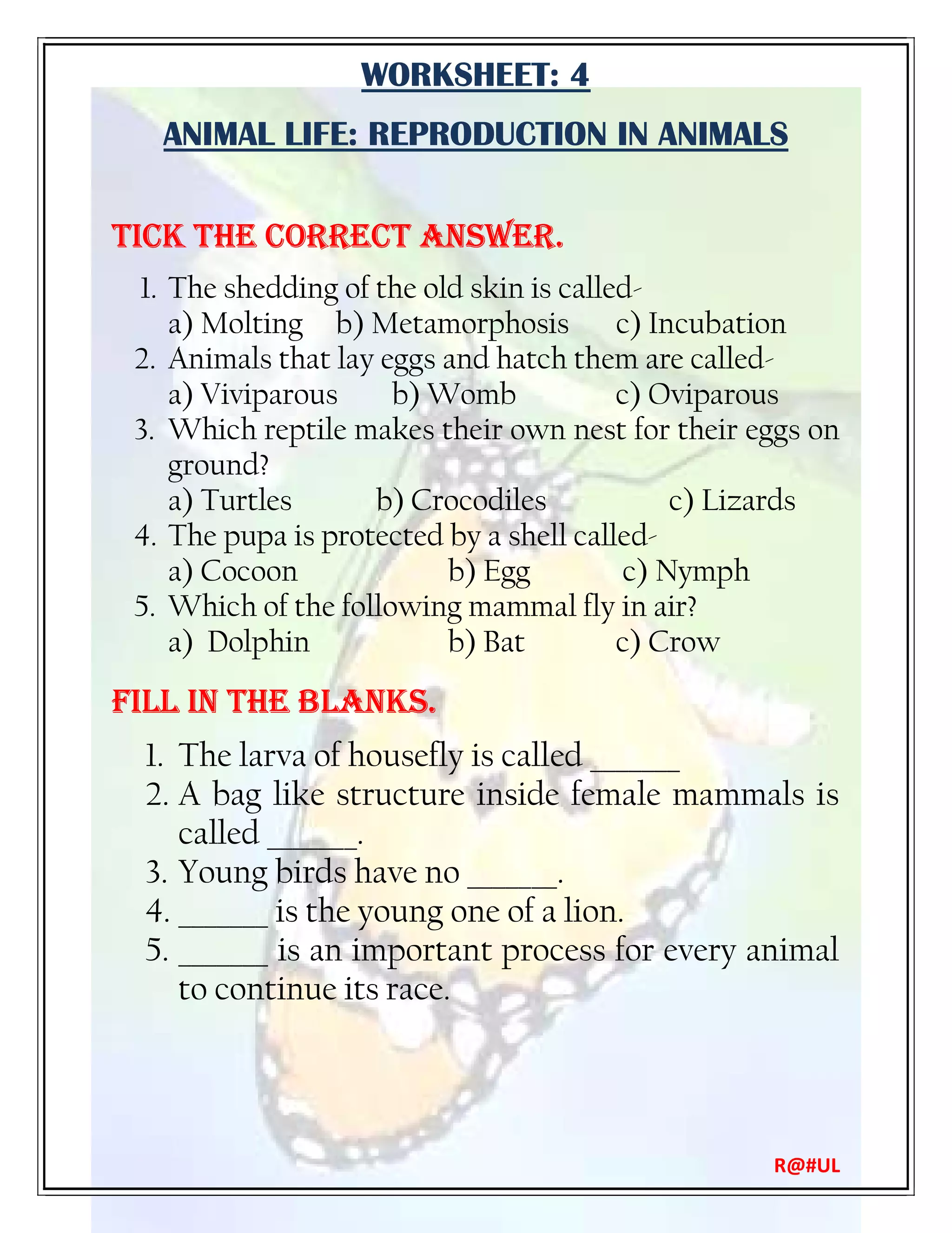 Reproduction in animals-WORKSHEET | PDF