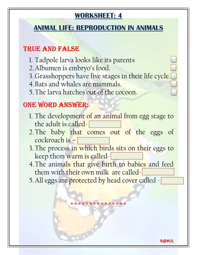 Reproduction in animals-WORKSHEET | PDF | Reptiles | Pets