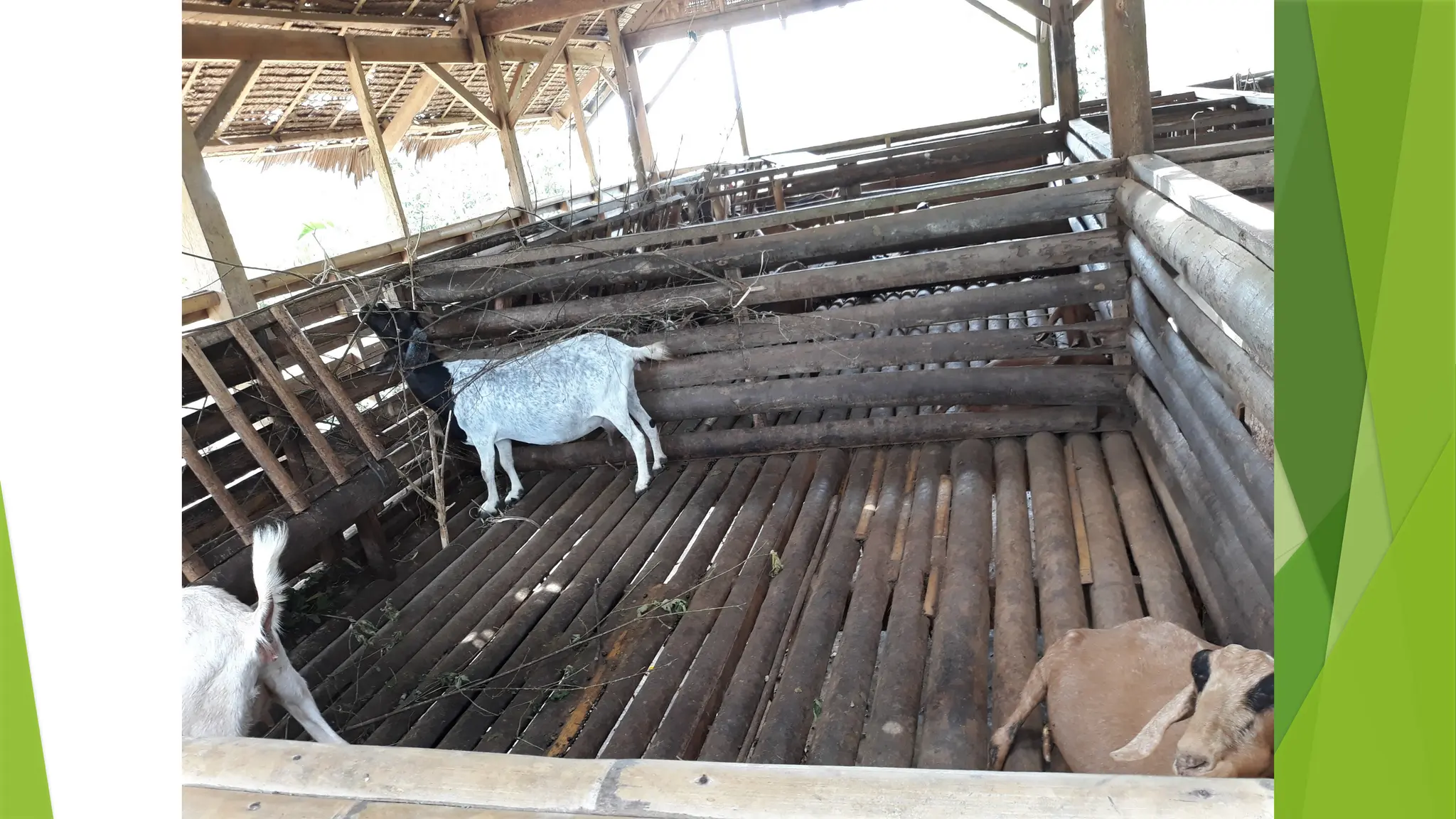 WORK IMMERSION MEETING power point presentation | PPTX