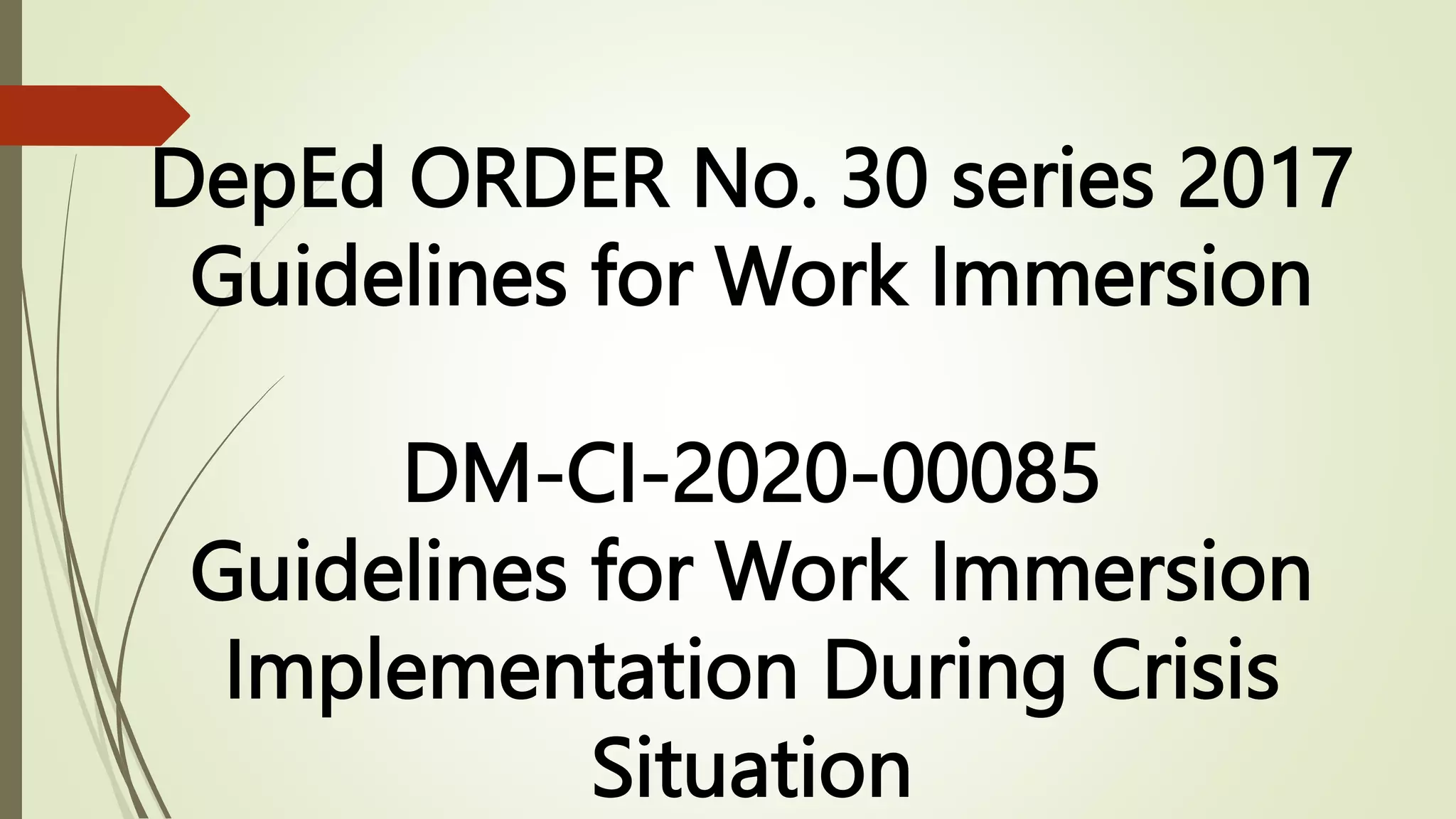 Work immersion orientation.pptx