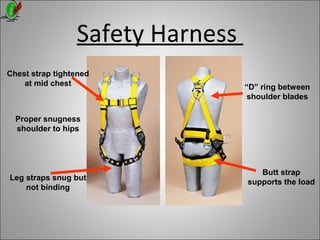 Working at-height | PPT