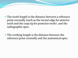 Working Length Determination | PPTX