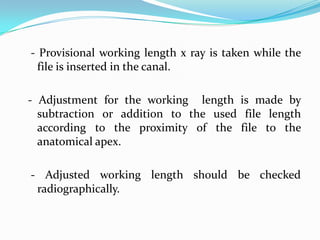 Working Length Determination | PPTX