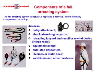 Working at height Fall Protection Presentation.ppt | First Aid | Injuries