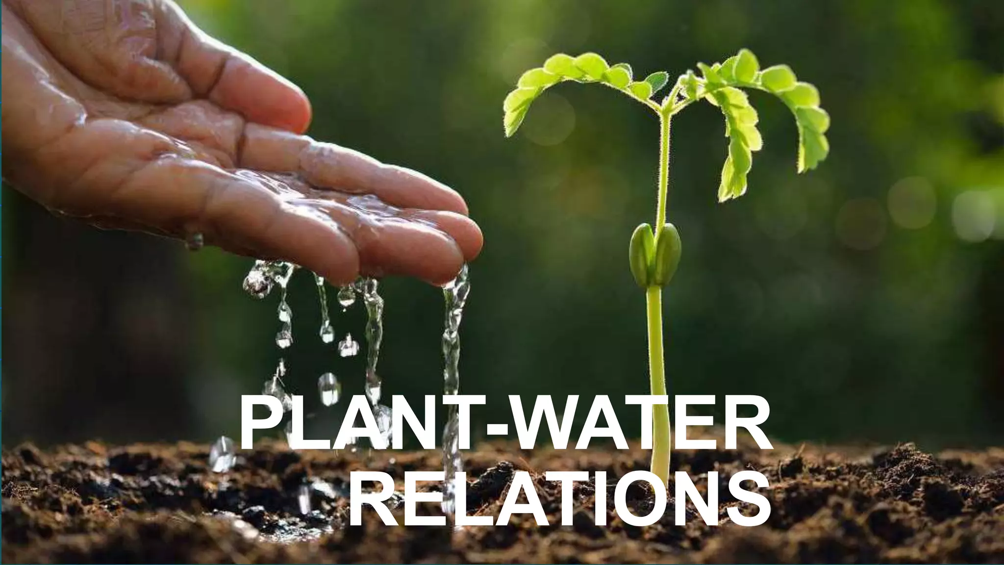 TRANSPORTATION IN PLANTS AND CIRCULATION IN ANIMALS.ppt