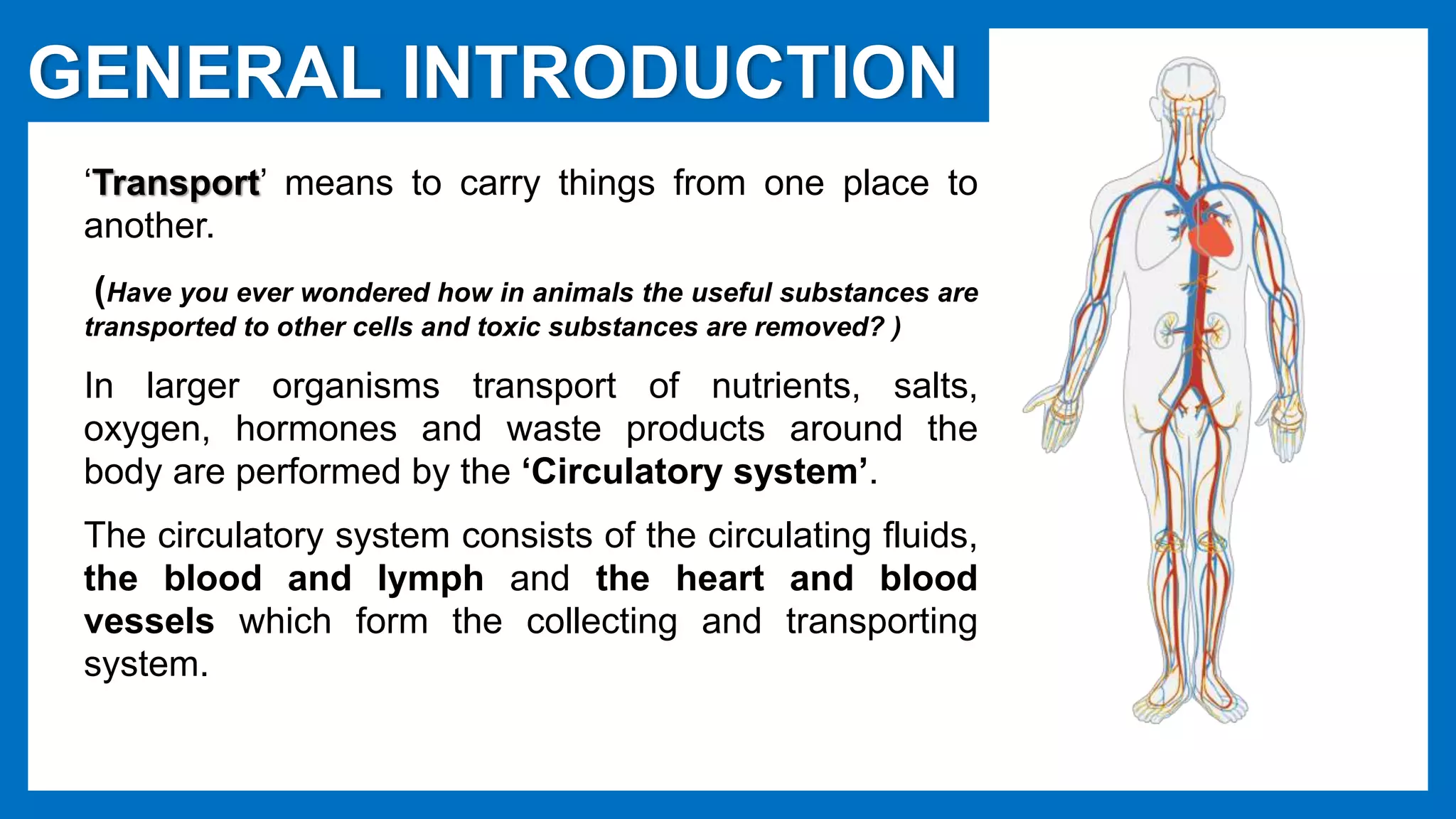 TRANSPORTATION IN PLANTS AND CIRCULATION IN ANIMALS.ppt