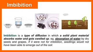 TRANSPORTATION IN PLANTS AND CIRCULATION IN ANIMALS.ppt