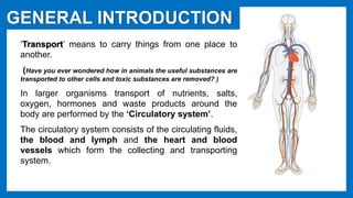 TRANSPORTATION IN PLANTS AND CIRCULATION IN ANIMALS.ppt
