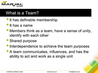 Working in service team | PDF