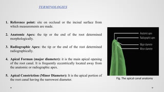 working length by different method dental | PPT