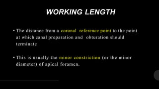 Working length Determination | PPTX