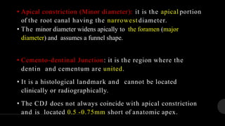 Working length Determination | PPTX
