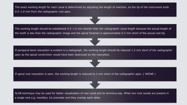 Working length | PPT