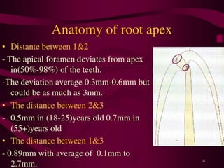 working length | PPT