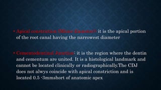 Working length determination IN ENDODONTICS | PPTX