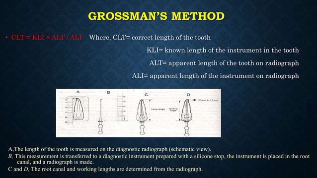 Working length determination IN ENDODONTICS | PPTX | Dental Health ...