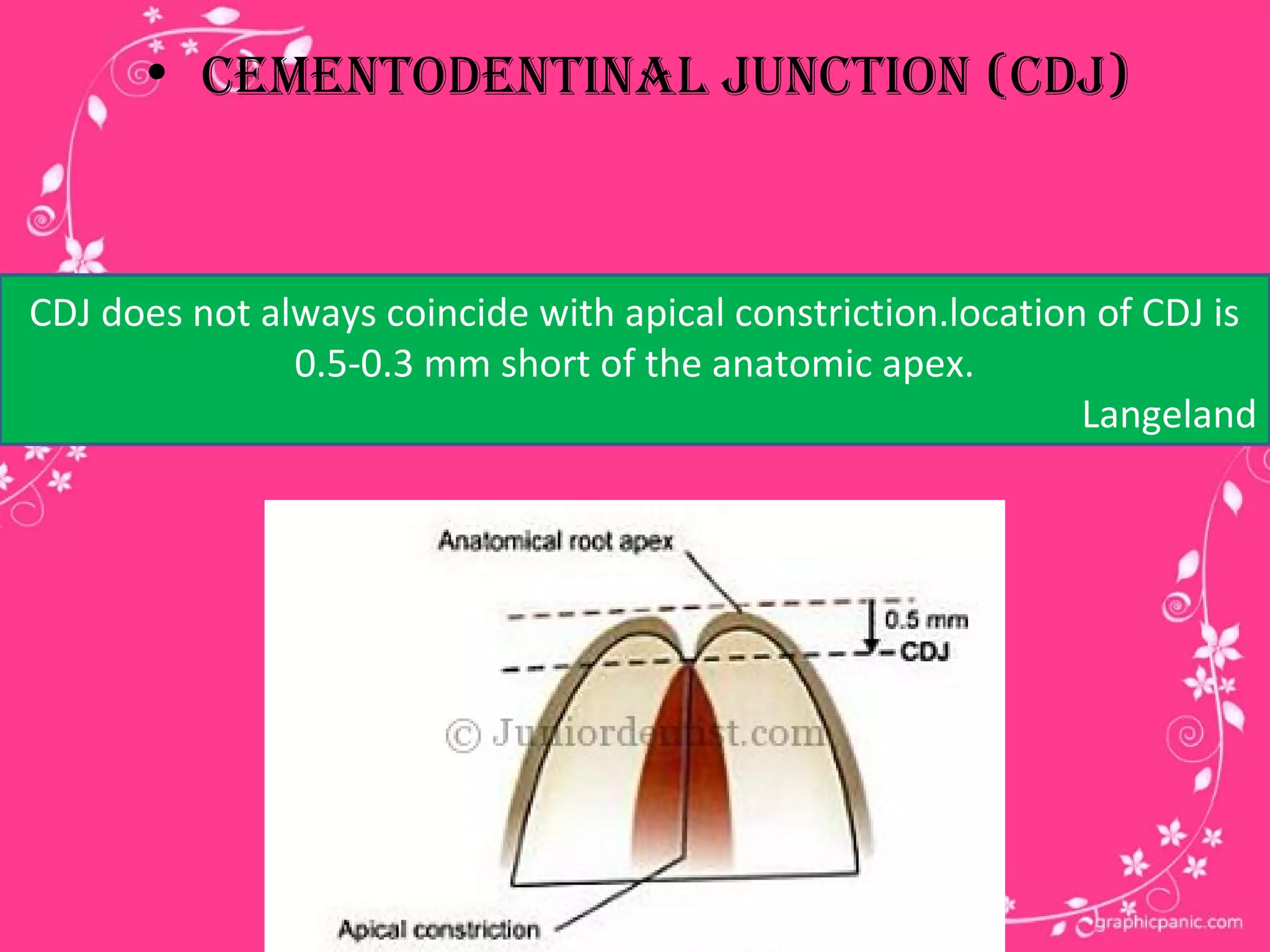 Working length determination | PPT
