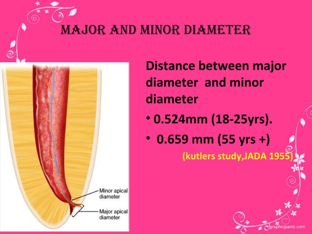Working length determination | PPT | Dental Health | Diseases and ...