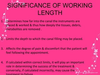 Working length determination | PPT