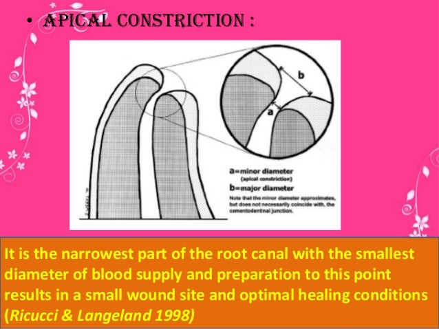 Working length determination