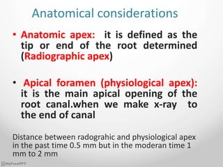 Working length determination apex and the methods | PPTX | Dental ...