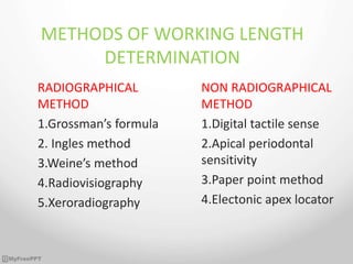 Working length determination apex and the methods | PPTX | Dental Health | Diseases and Conditions