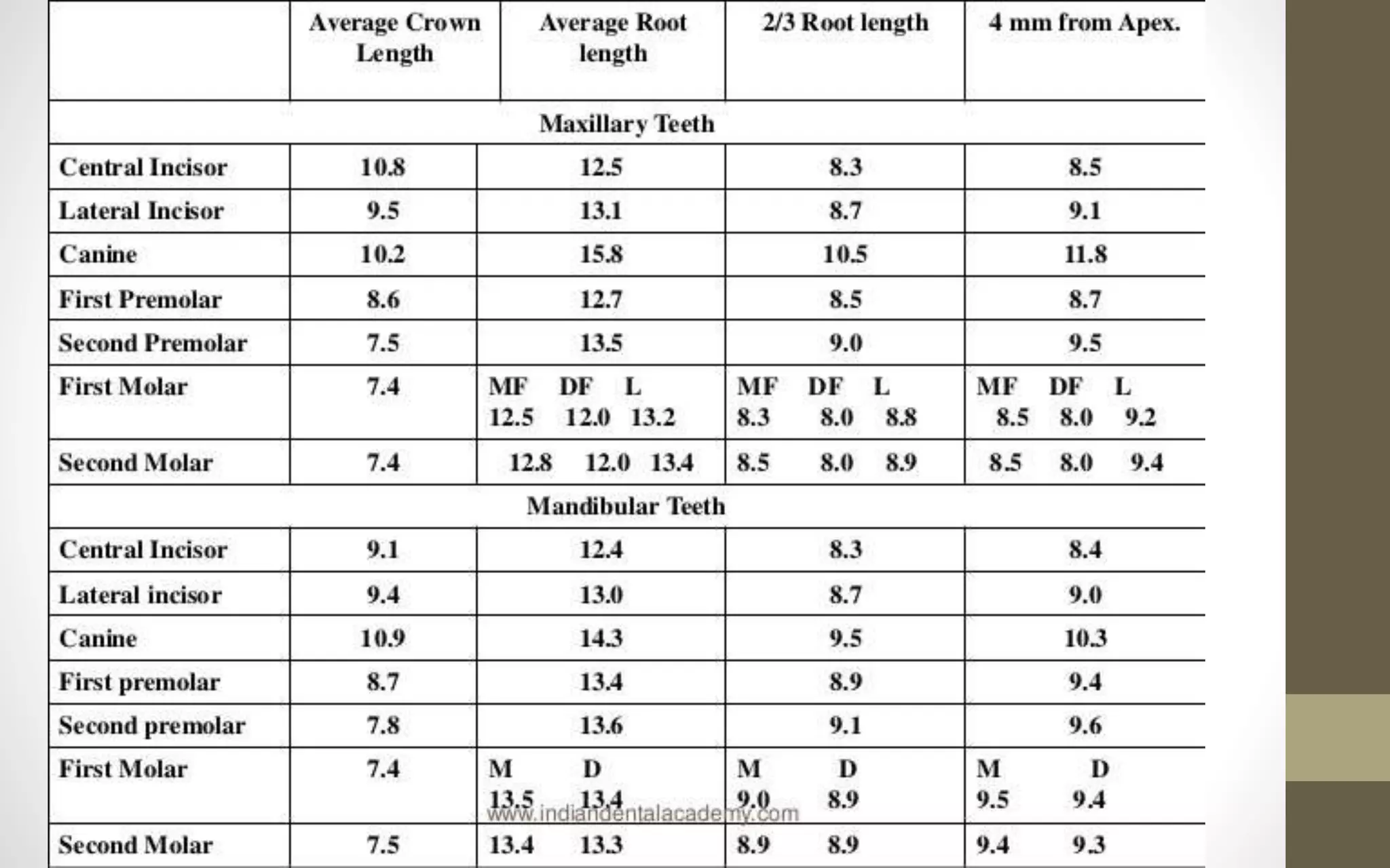 Working length determination | PPTX