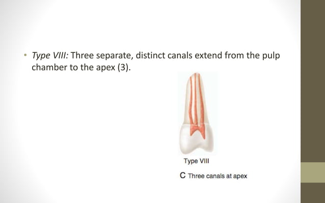 Working length determination | PPTX | Dental Health | Diseases and ...