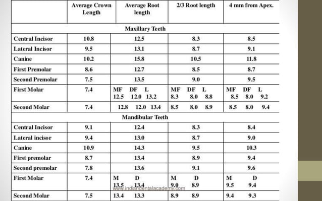 Working length determination | PPTX | Dental Health | Diseases and ...