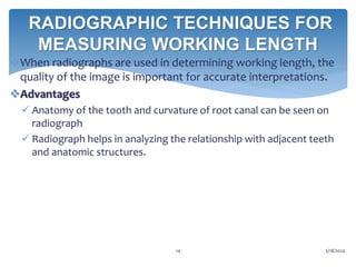 WORKING LENGTH DETERMINATION in endodontics-2.pptx