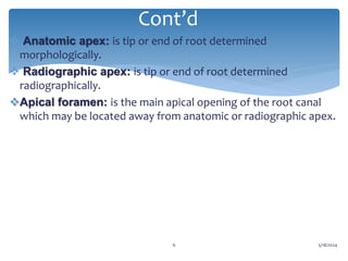 WORKING LENGTH DETERMINATION in endodontics-2.pptx