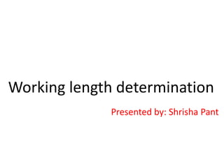 Working length determination | PPT