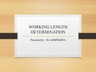 working length determination.pptx