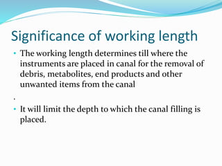 Working Length Determination.pptx