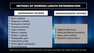 WORKING LENGTH DETERMINATION.pptx fir dental students | PPTX