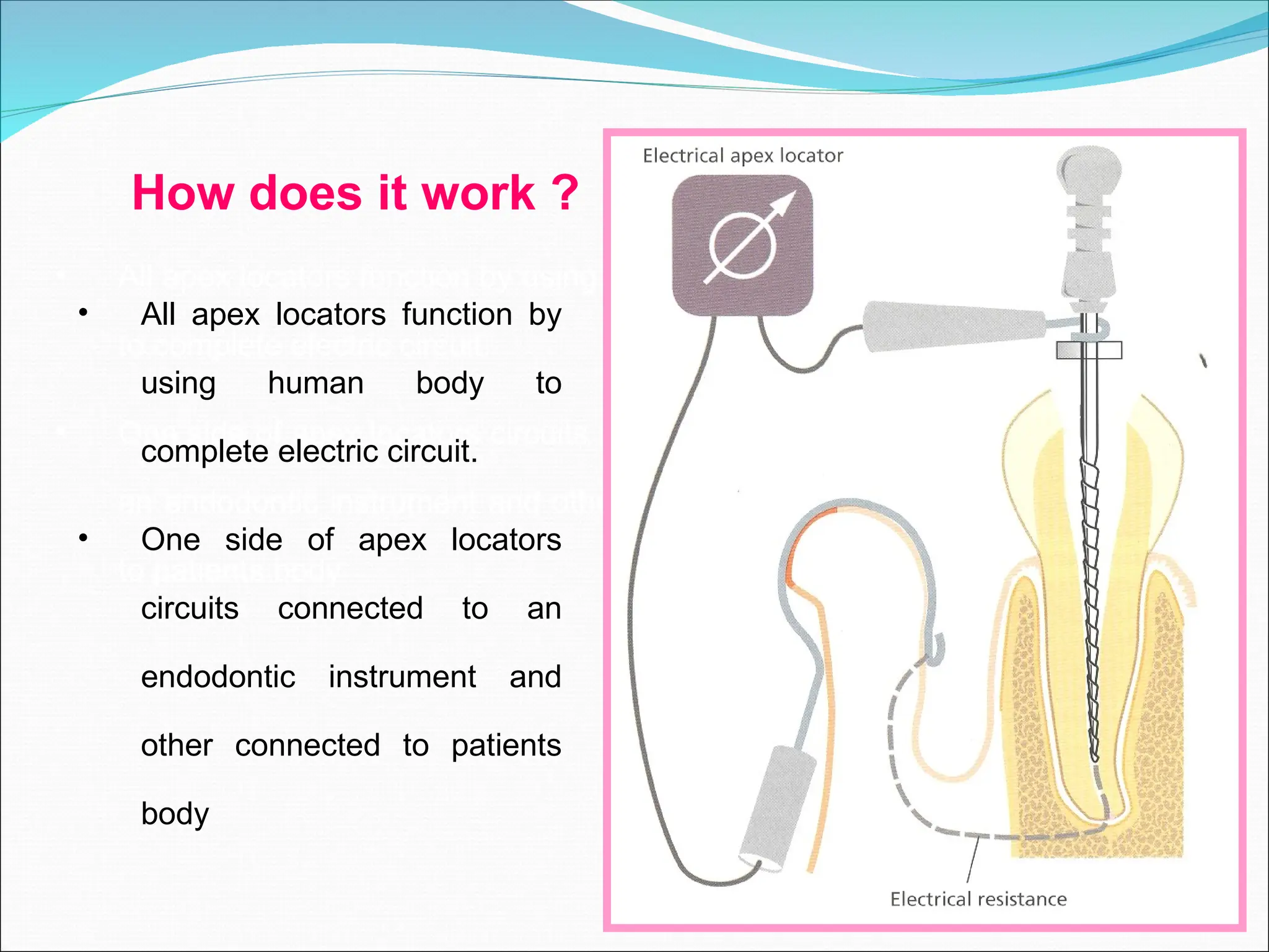 Working Length Determination And Apex Locator Ppt
