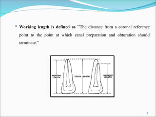 Working length determination and apex locator.ppt