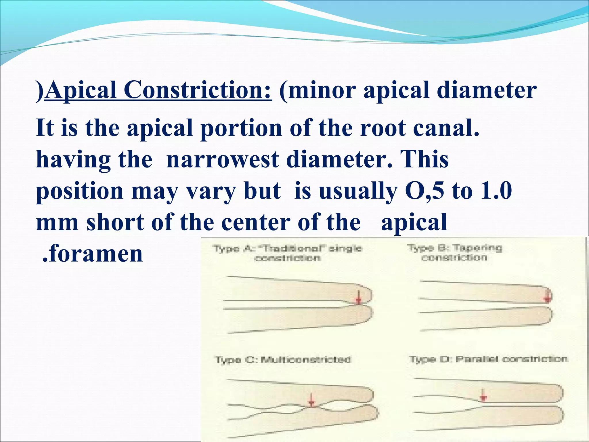 Working length determination | PPT