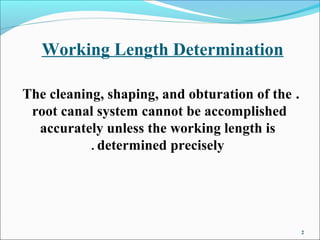 Working length determination | PPT